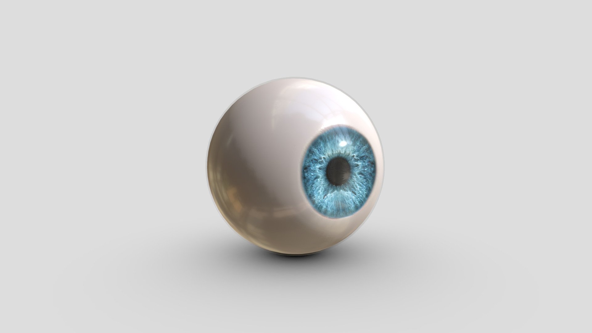 Anatomical Eye ball - Download Free 3D model by assetfactory [281784b ...