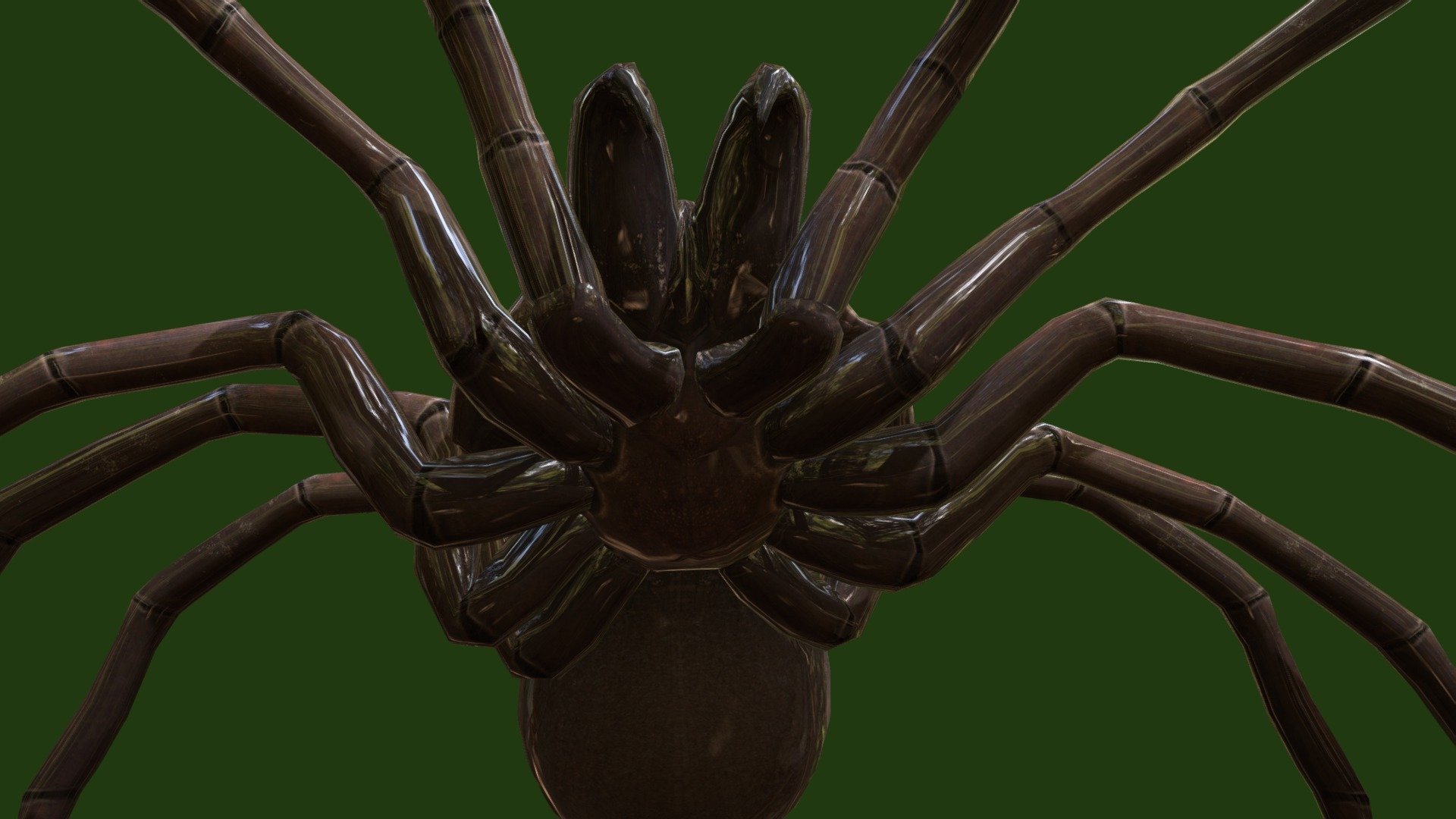 Basical Spider - Download Free 3D model by LingthyManThatExists ...