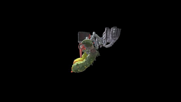 Flowey 3D models - Sketchfab