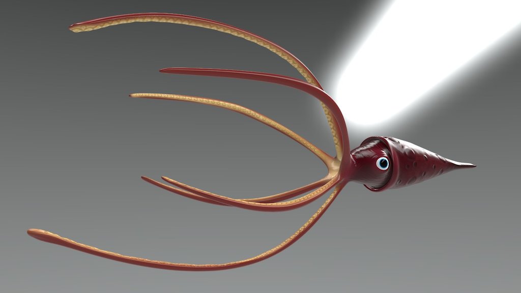 Squid - A 3D model collection by Olivier Dallaire (@Olidal) - Sketchfab