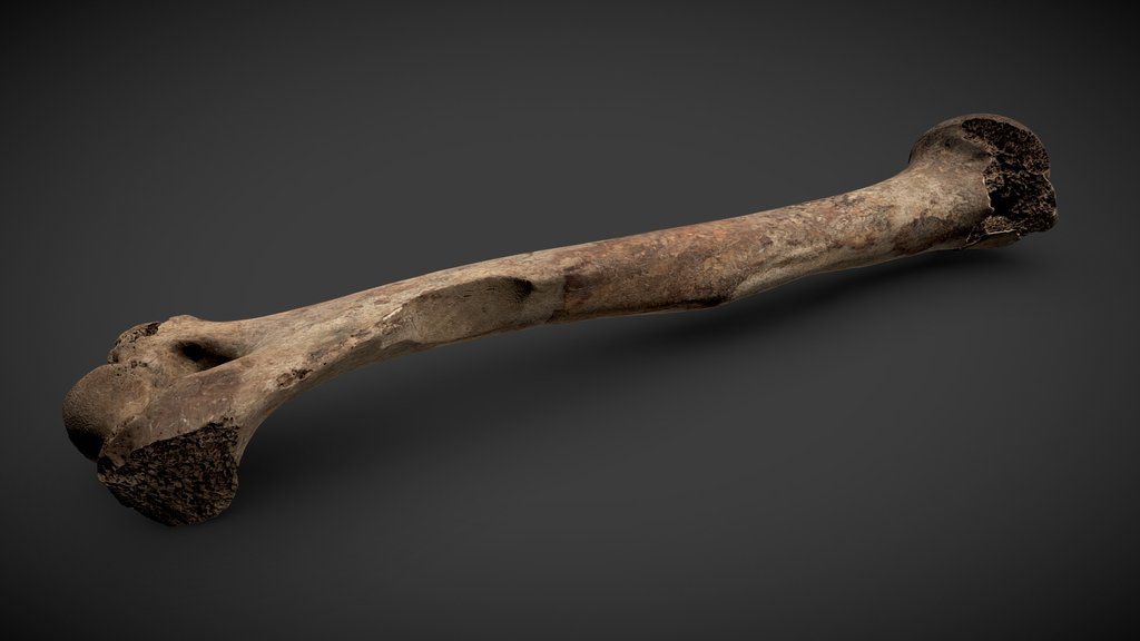 Sveriges historia - A 3D model collection by Historiska - Sketchfab