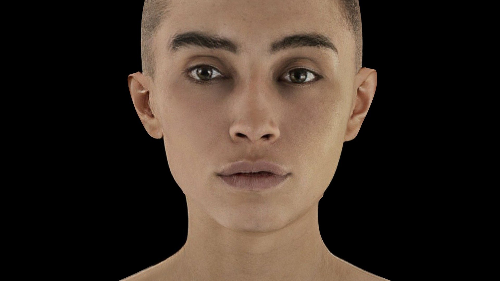 Human Dignity Collection | www.acuteline.com - Download Free 3D model ...
