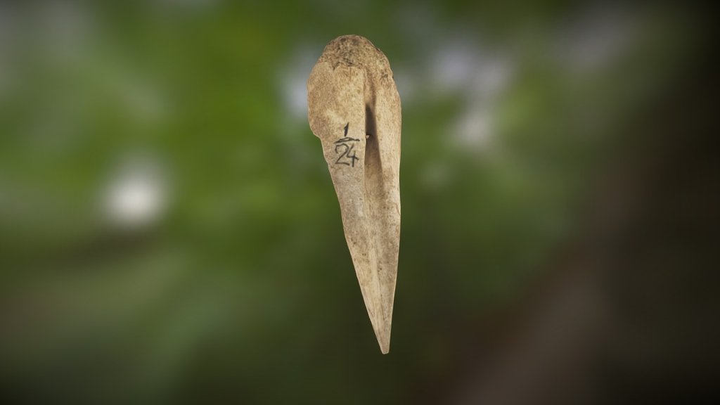 Archaic Bone Awl - 3D model by Eric Collins (@ericcollins) [284390e ...
