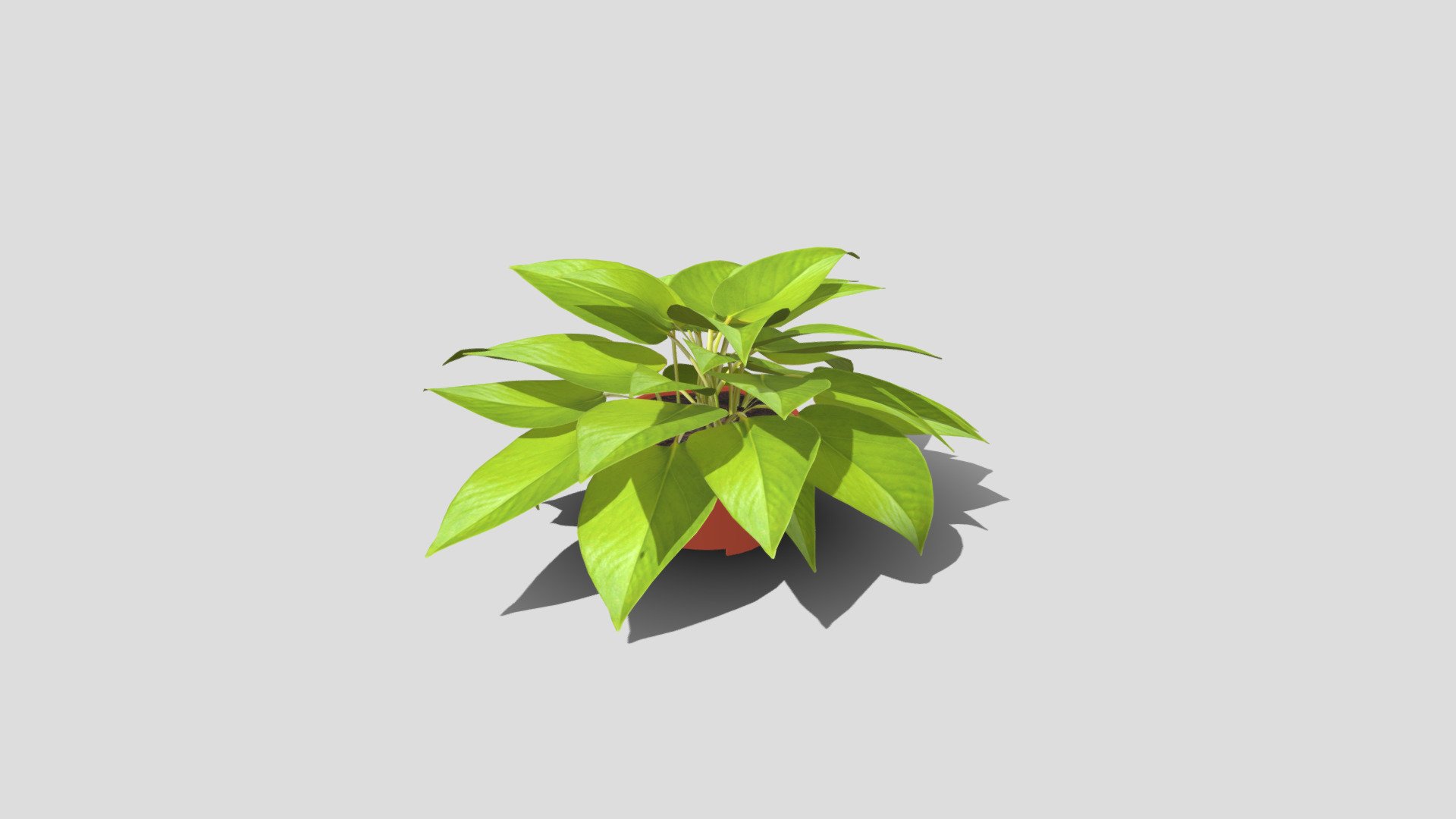 Low poly plant - Neon Photos - Download Free 3D model by assetfactory ...