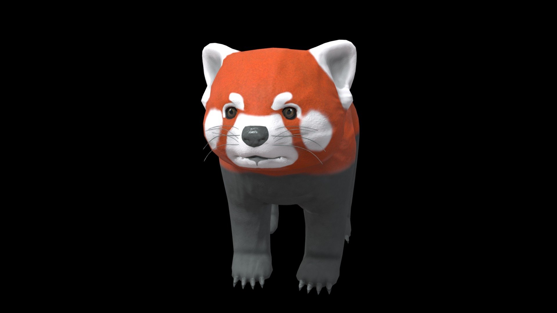 Red Panda - 3D model by Symbol (@Symbol12) [284c651] - Sketchfab