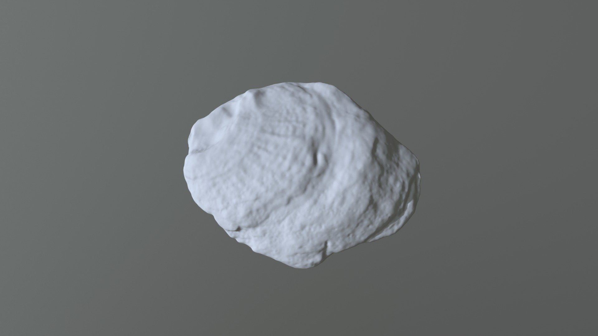 Oyster Shell (VCU_3D_3170) - Download Free 3D model by Virtual Curation ...