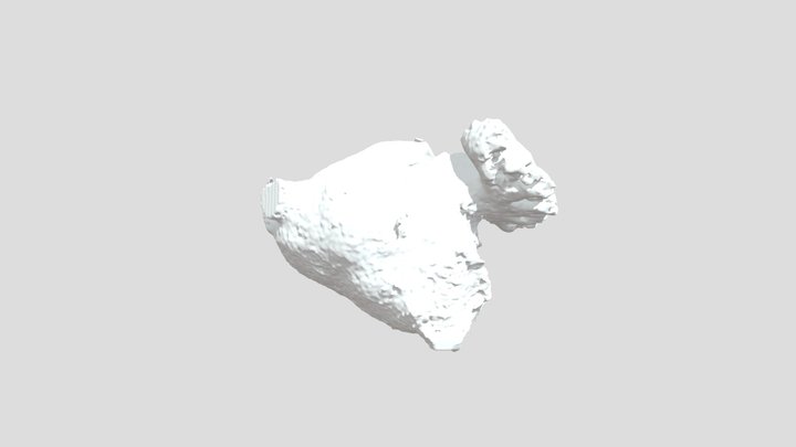 Left_atrium 3D models - Sketchfab