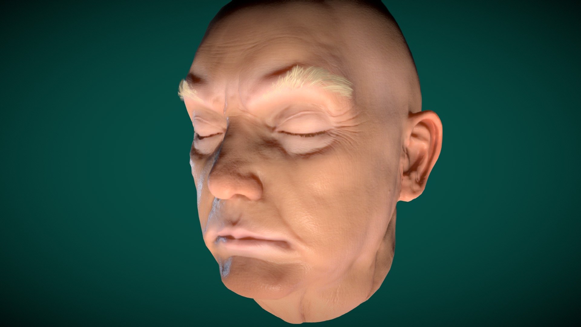 Trump head - Download Free 3D model by Mark Bai (@bcfbox) [2868b2e ...