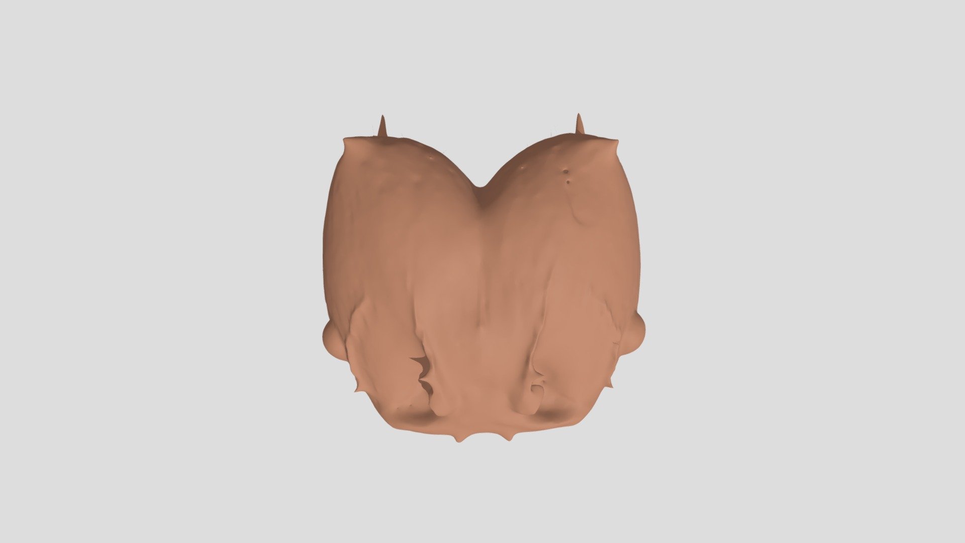 Medium Atta Vollenweideri Head Capsule - Download Free 3D model by ...