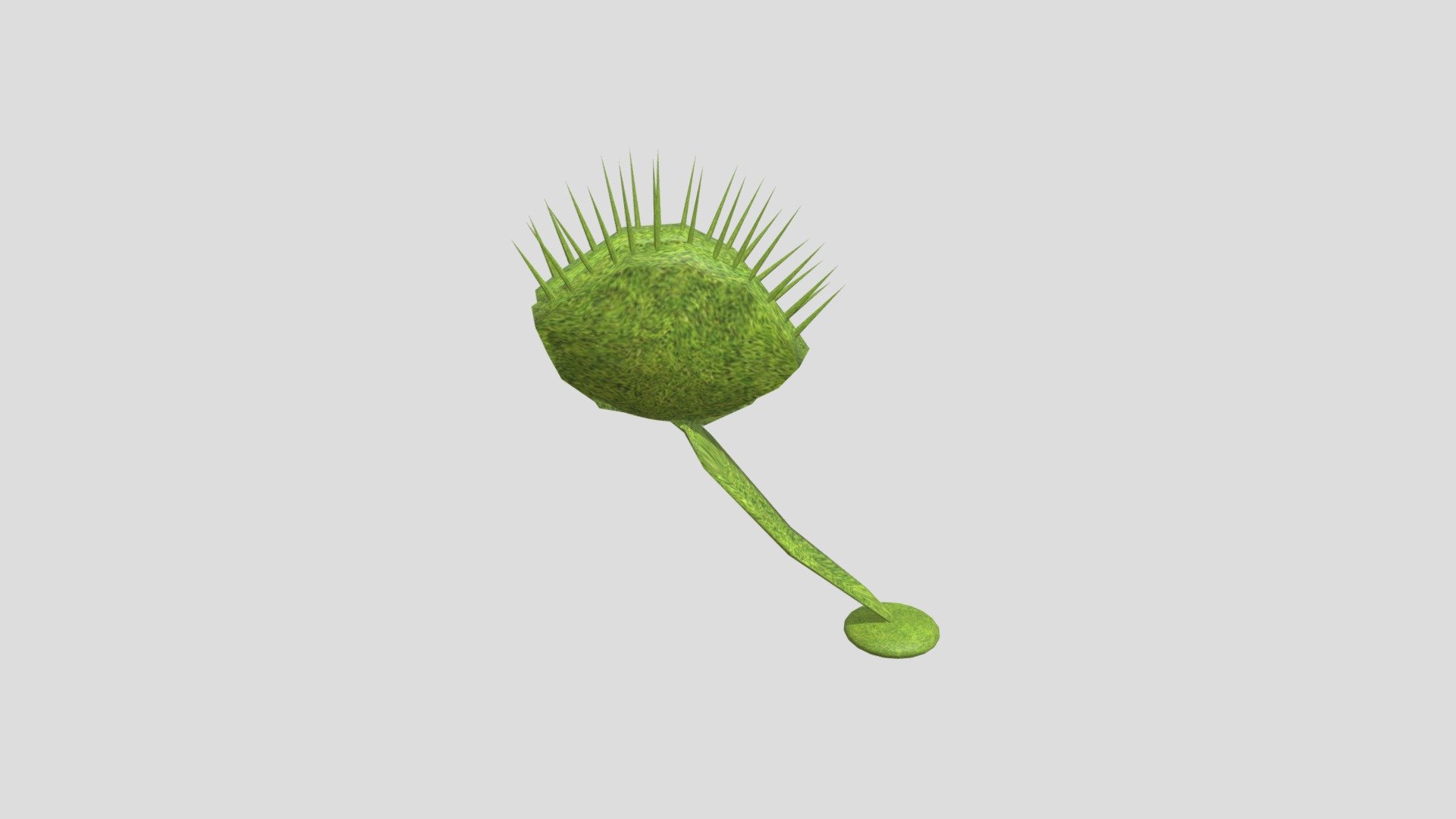 Venus Fly Trap w/o animation - Download Free 3D model by cntorres ...