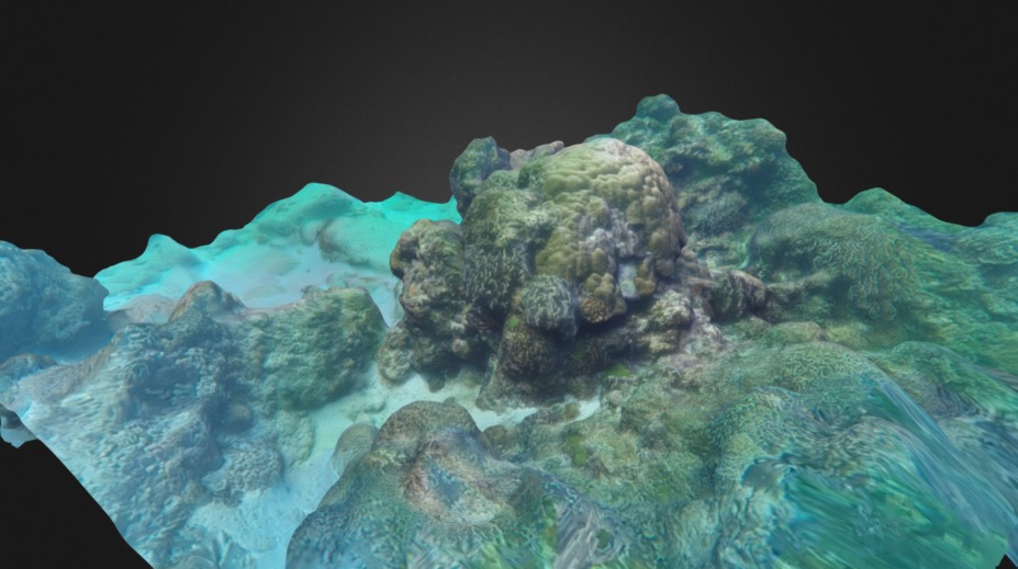 Devils Point coral photogrammetry - 3D model by California Academy of ...