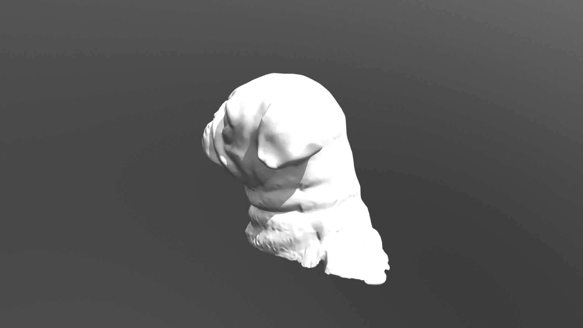 DOGHEAD - Download Free 3D model by thiagoriv11 [288f4ad] - Sketchfab