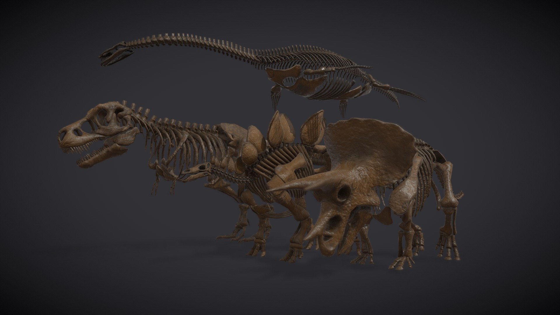 Museum Of Natural History | Dinosaurs - Buy Royalty Free 3D model by ...