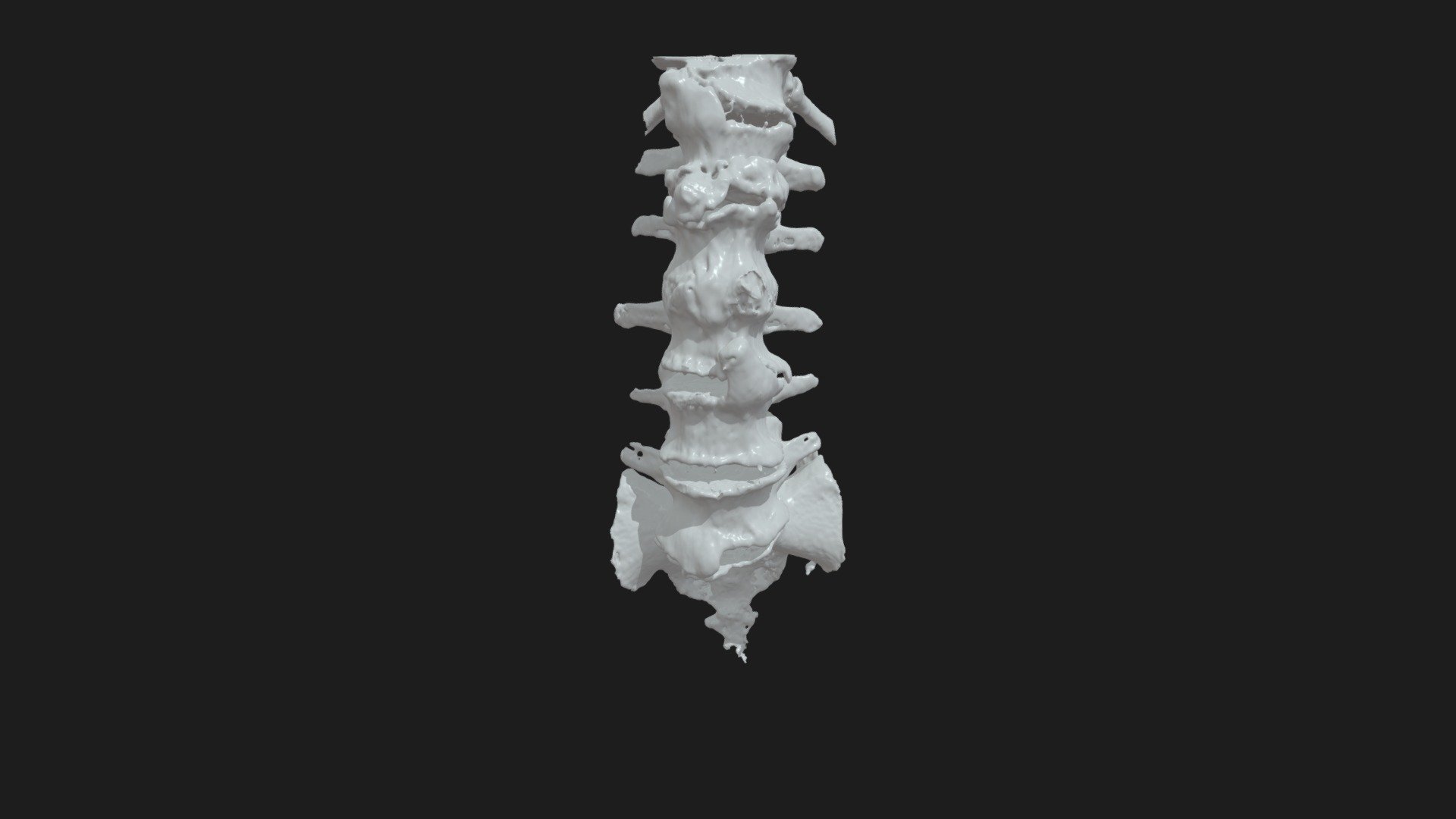 l1# type A1 - 3D model by marysolou06 [2896347] - Sketchfab