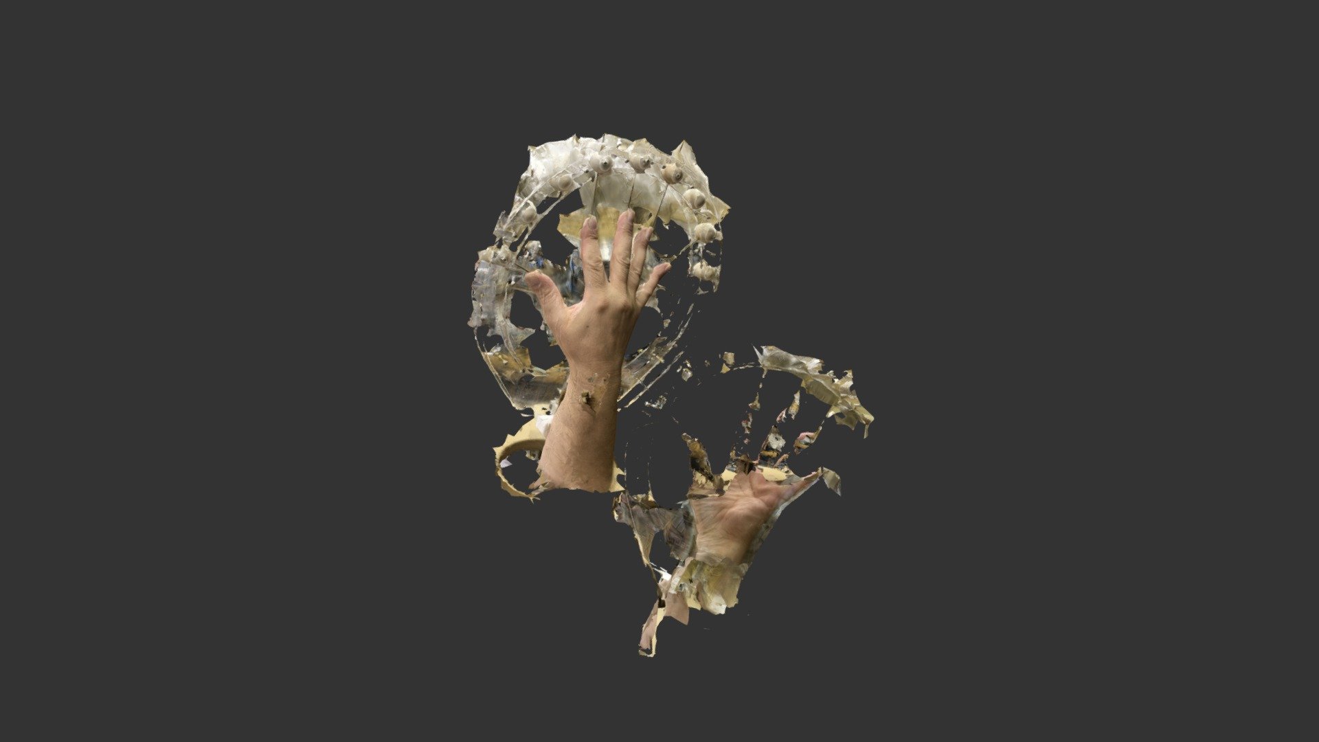 Hand in Frame - 3D model by jonathan.crego [28964bd] - Sketchfab