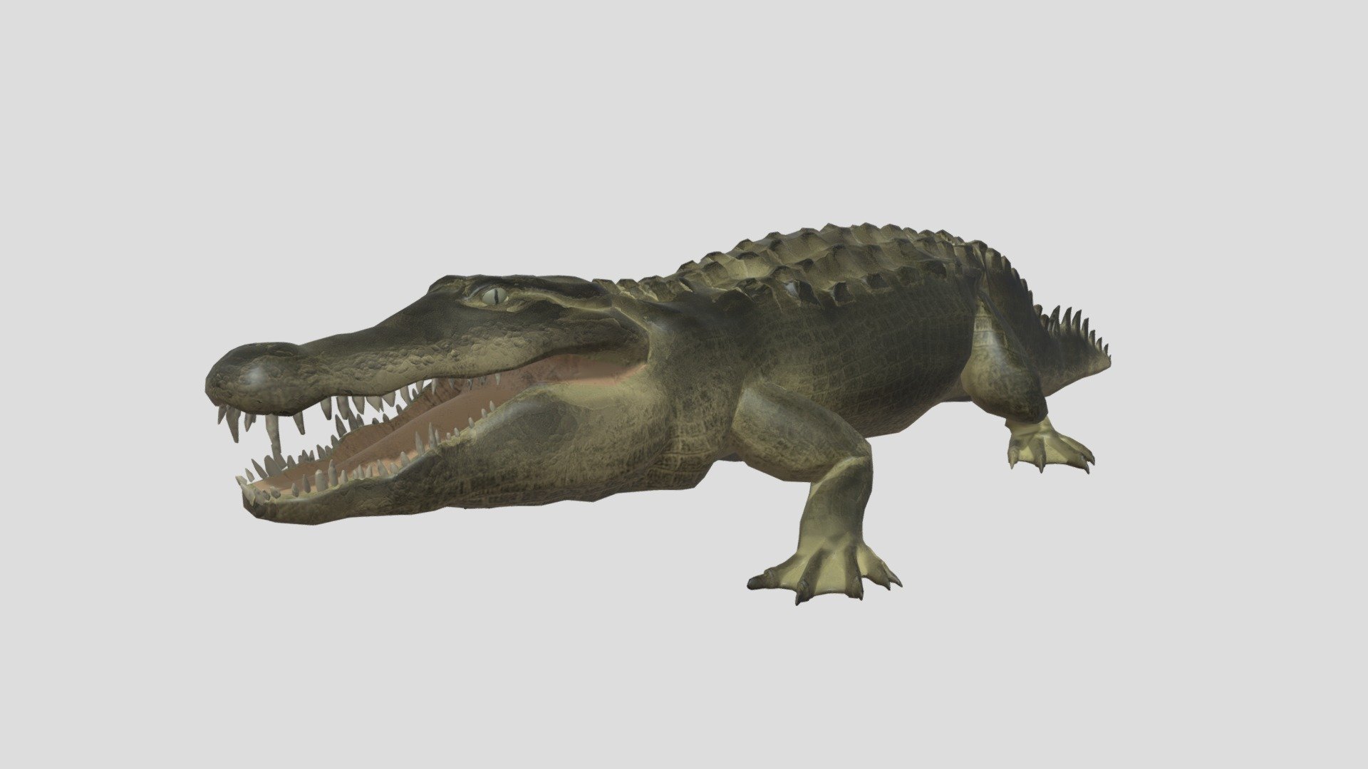 Game-Ready Realistic Rigged Crocodile - Buy Royalty Free 3D model by ...