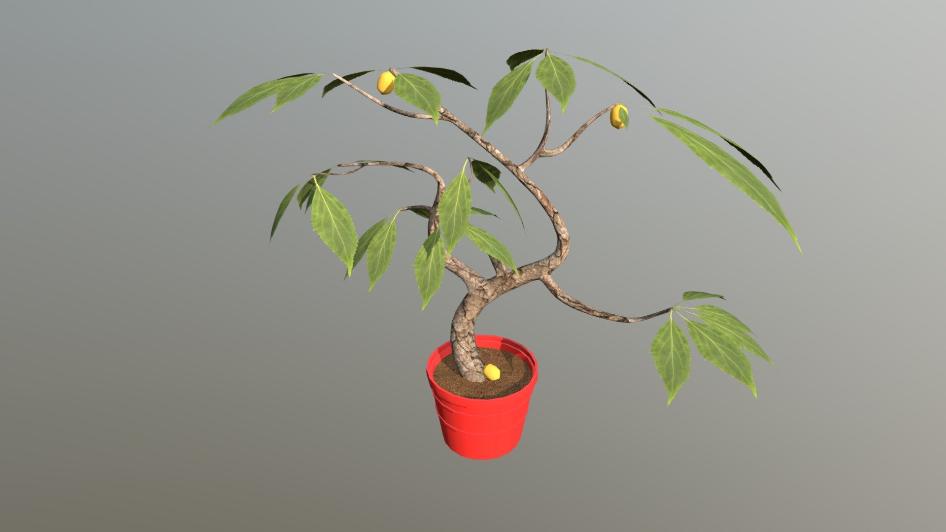 Lemon Tree - Download Free 3D model by tkatic [28978e0] - Sketchfab