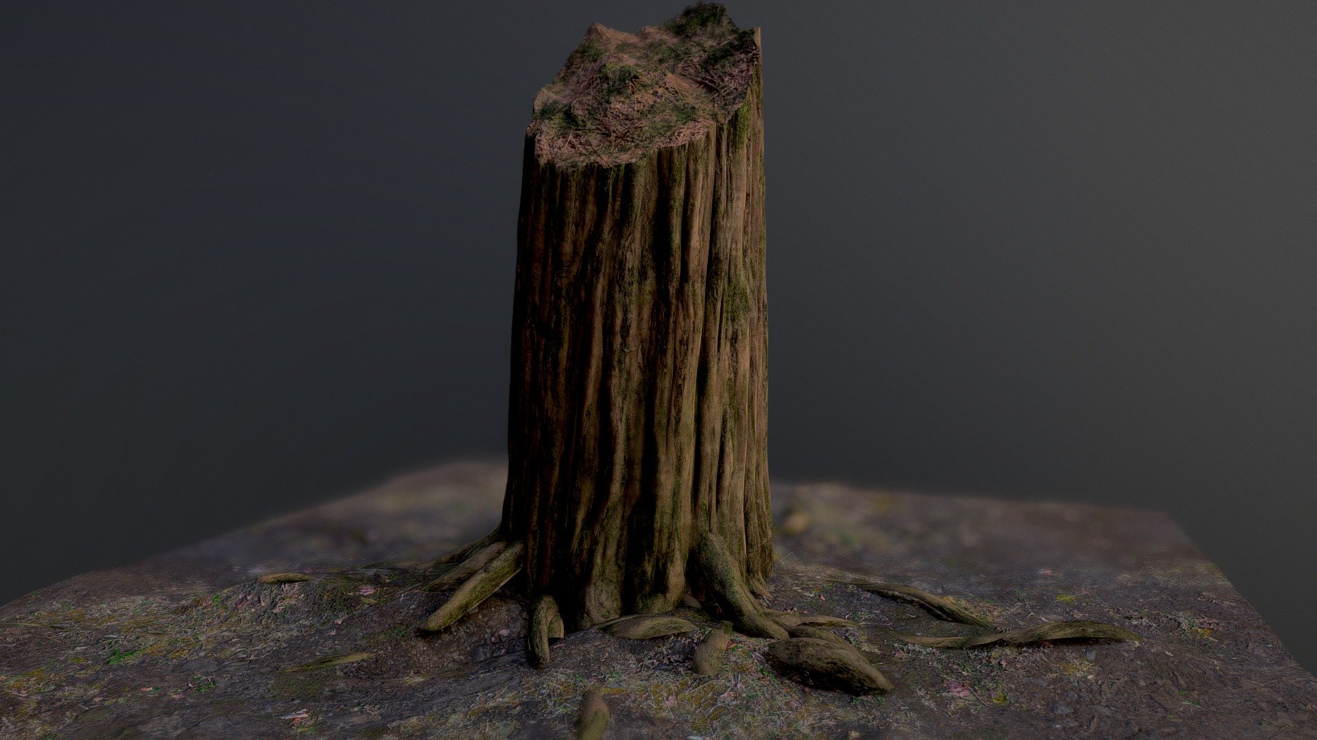 Tree Trunk with Ground - 3D model by Virtua Con (@virtuaCon) [289f7ae ...