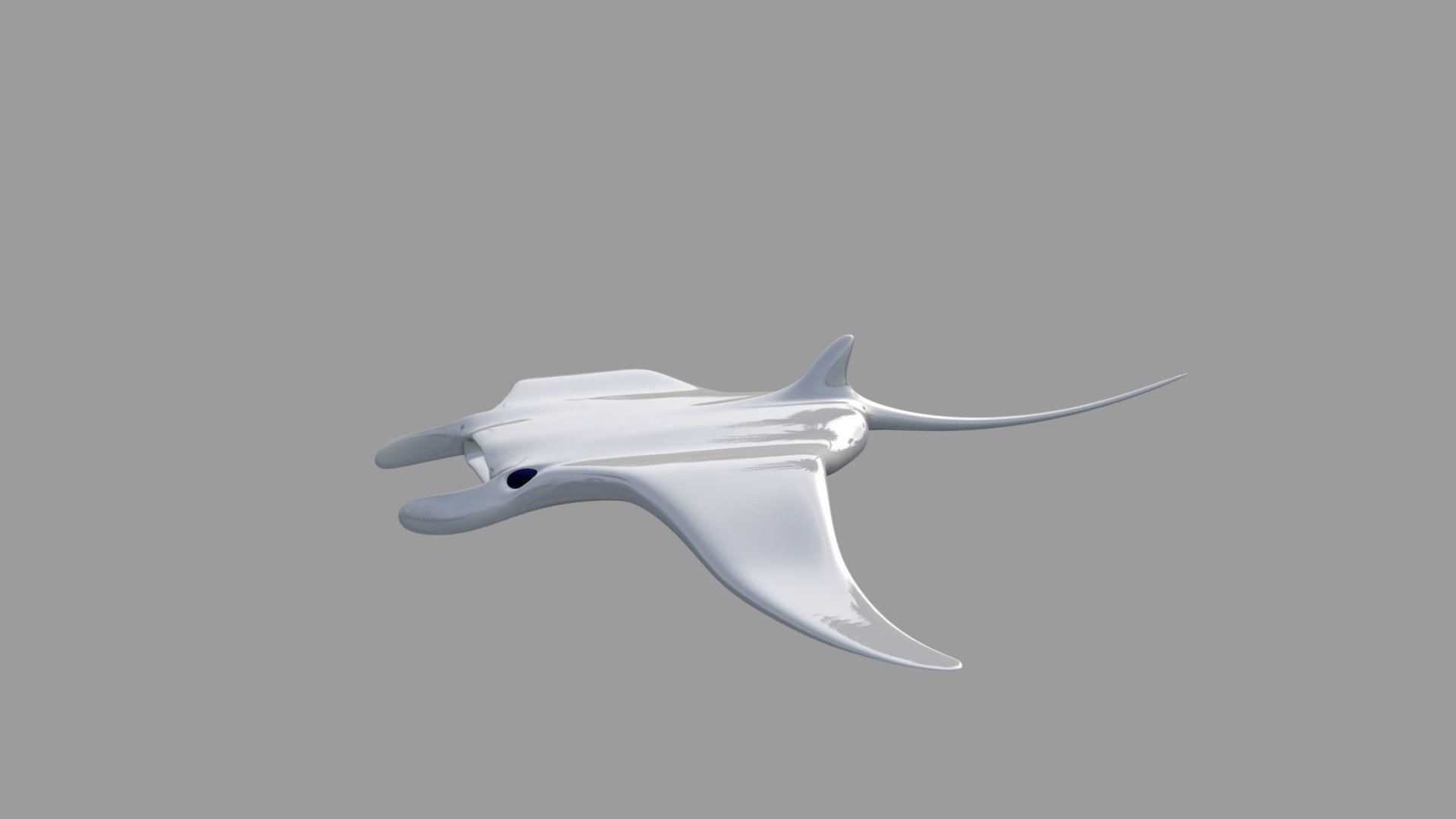 Manta - 3D model by Peter79 [28a5b08] - Sketchfab
