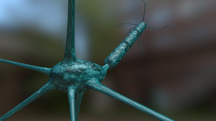 Zelle 3D models - Sketchfab