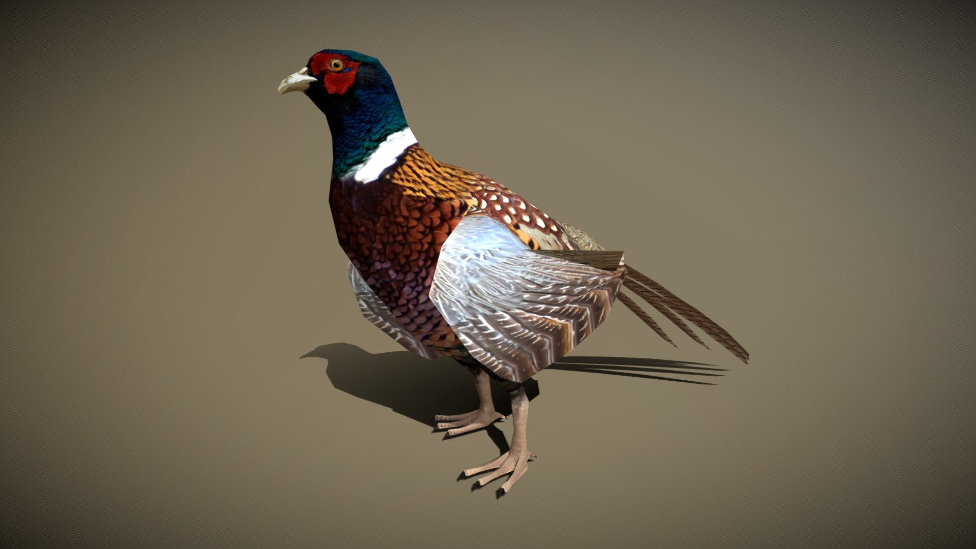 3DRT - Pheasant - 3D model by 3DRT.com [28a9262] - Sketchfab
