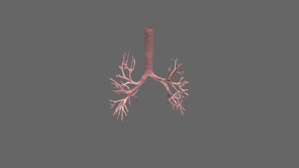 DIP - A 3D model collection by MvdHoek - Sketchfab