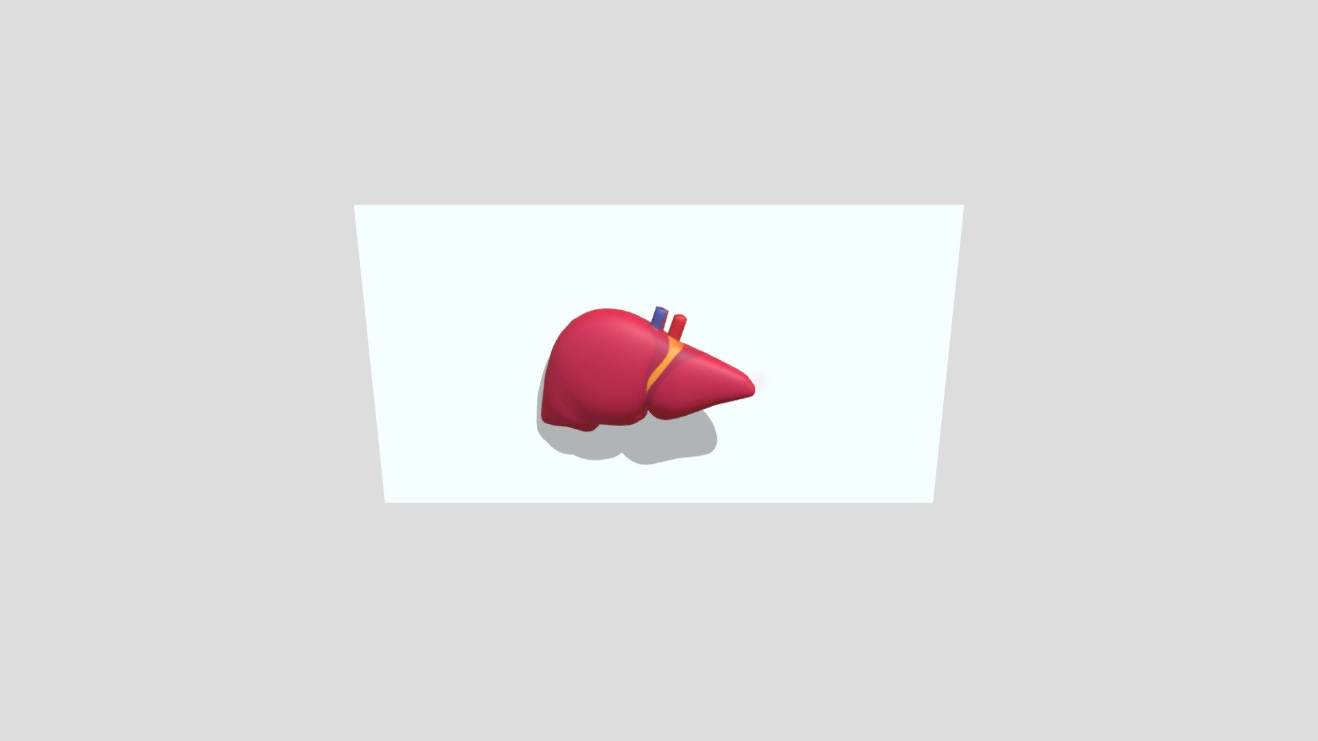 Animasi Bagian dari Liver 3D - Download Free 3D model by UMMY22 ...