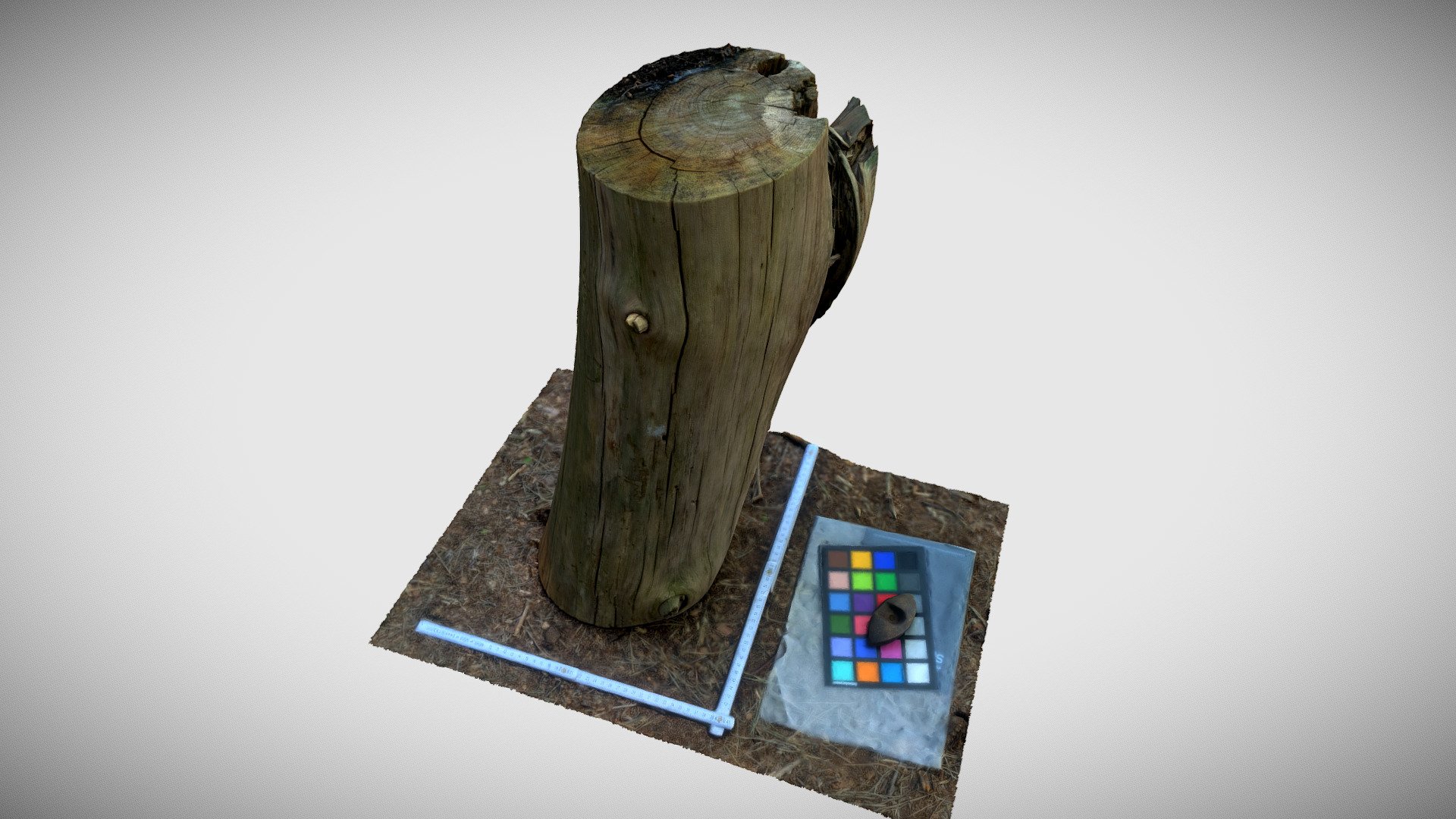 Tree branch - Buy Royalty Free 3D model by GM3Dscan [28c744b ...