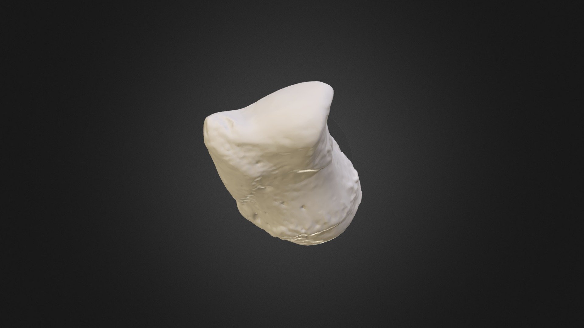 Loxodanta africana (elephant) R DU5 Phalanx 2 - Download Free 3D model ...