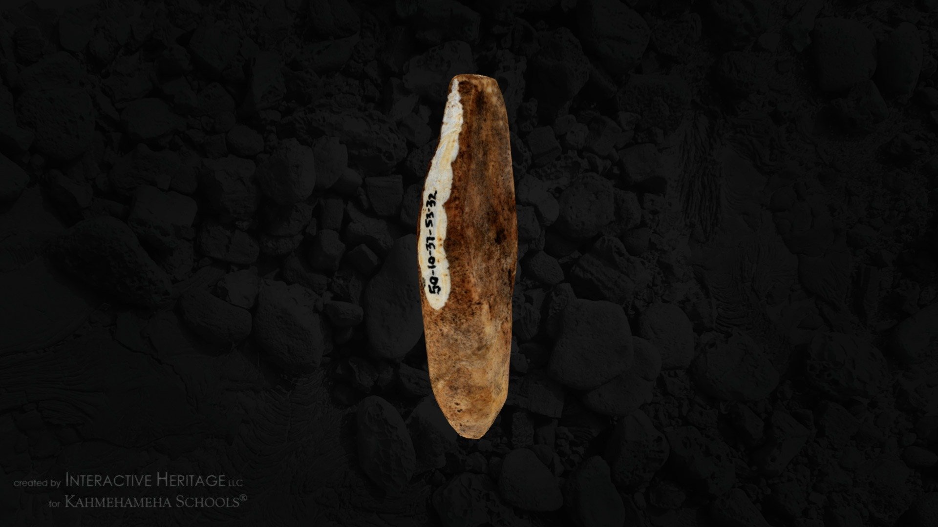 Modified Pig Tusk - 3D model by interactiveheritage [28cbfe5] - Sketchfab