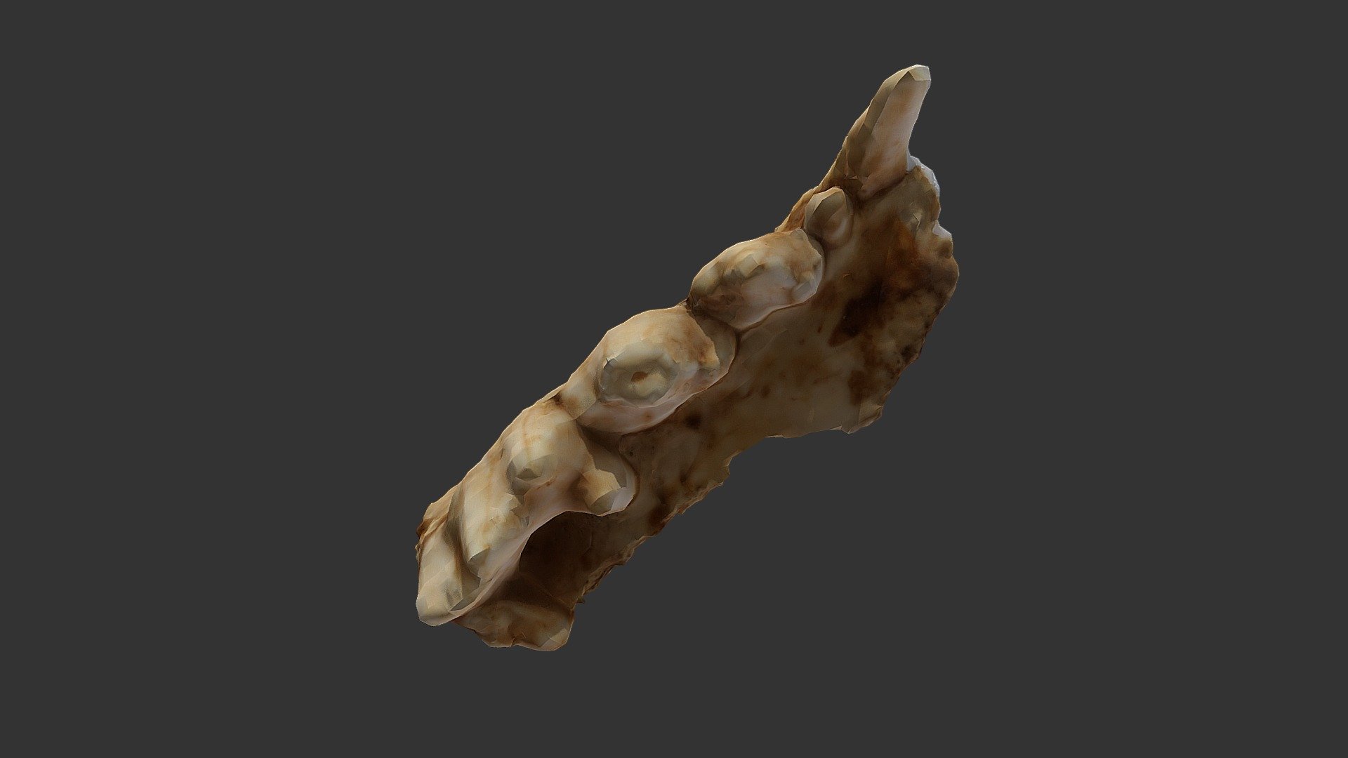 Hyena maxilla - 3D model by Diprotodon [28d6163] - Sketchfab