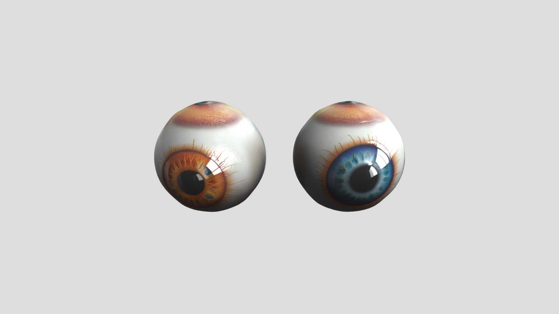 A 3d model of human eyes balls with multi iris - Download Free 3D model by Joe_Bou_Khalil ...