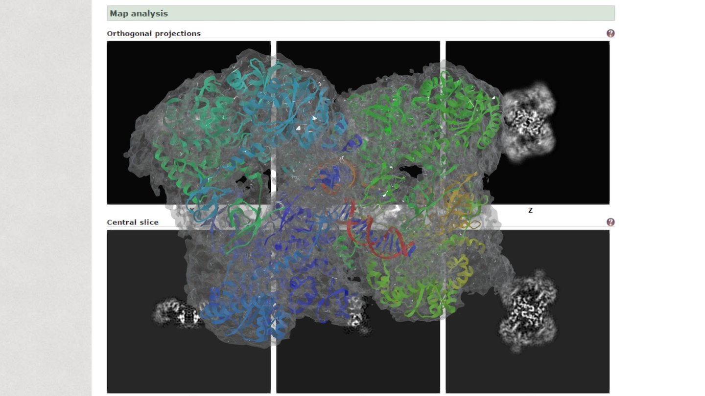 EMDB › EMD-4138 - 3D model by Interactive 3D Data (@proteinsimulation ...