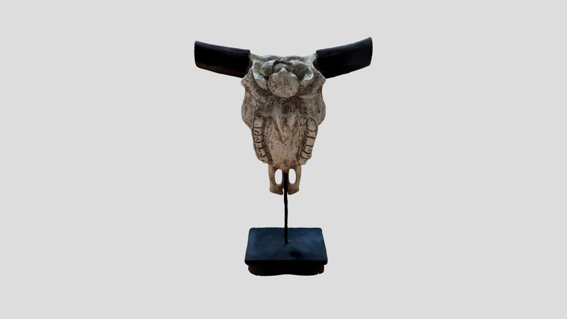 Caveira - Download Free 3D model by 2BSCAN [28ef807] - Sketchfab