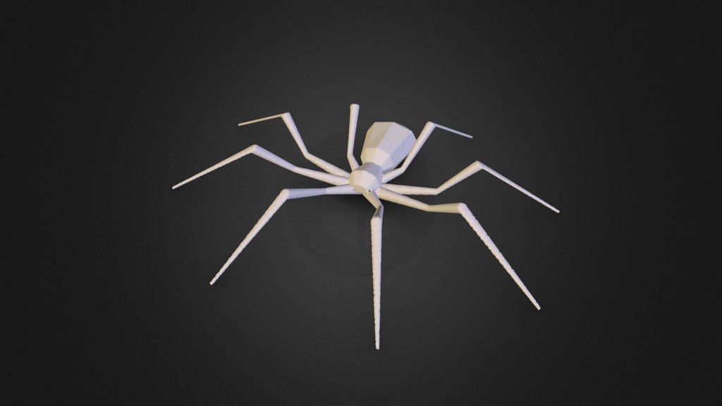 Spider - A 3D model collection by Aoi_Tori (@barbado22) - Sketchfab