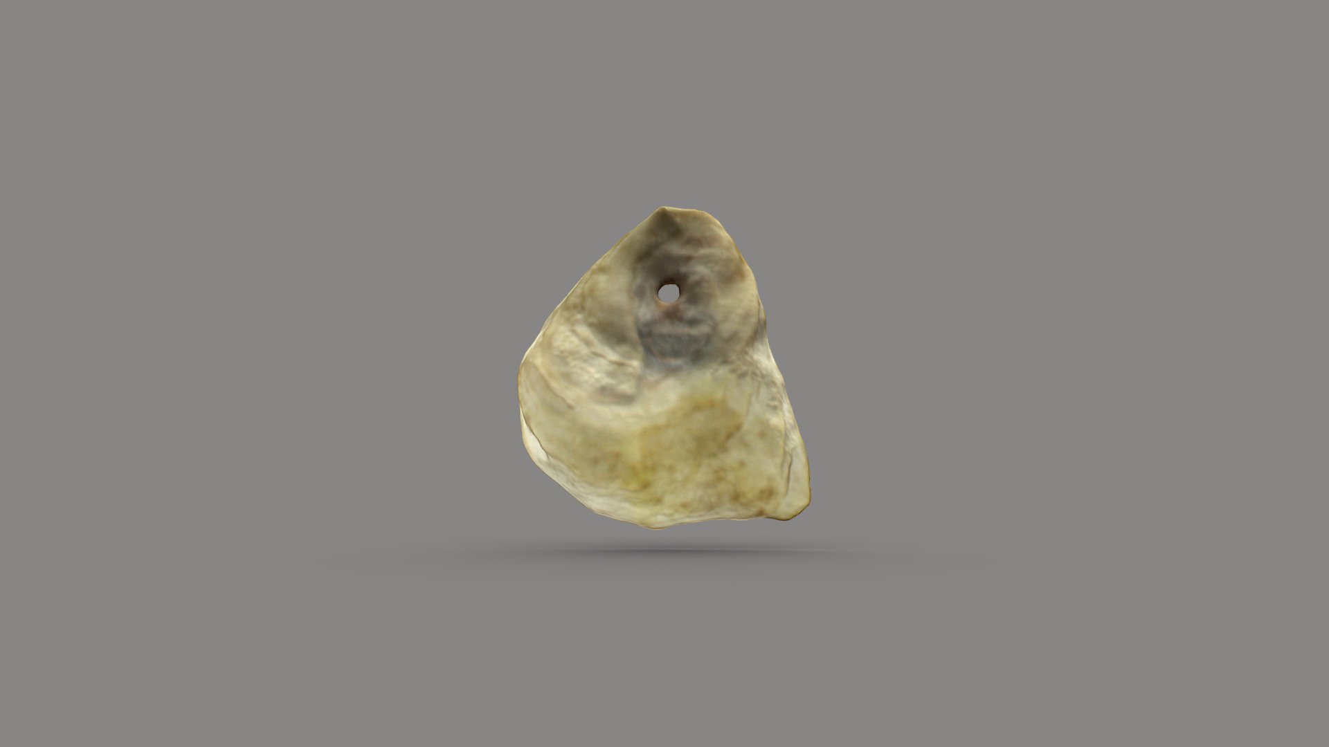 Shell Gorget - Download Free 3D model by The Herring Run Archaeology ...