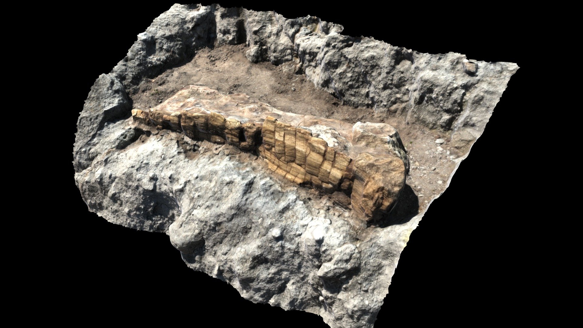 Toubeleki Park, Fossil No.(F4), Lesvos Geopark. - 3D model by aegean ...