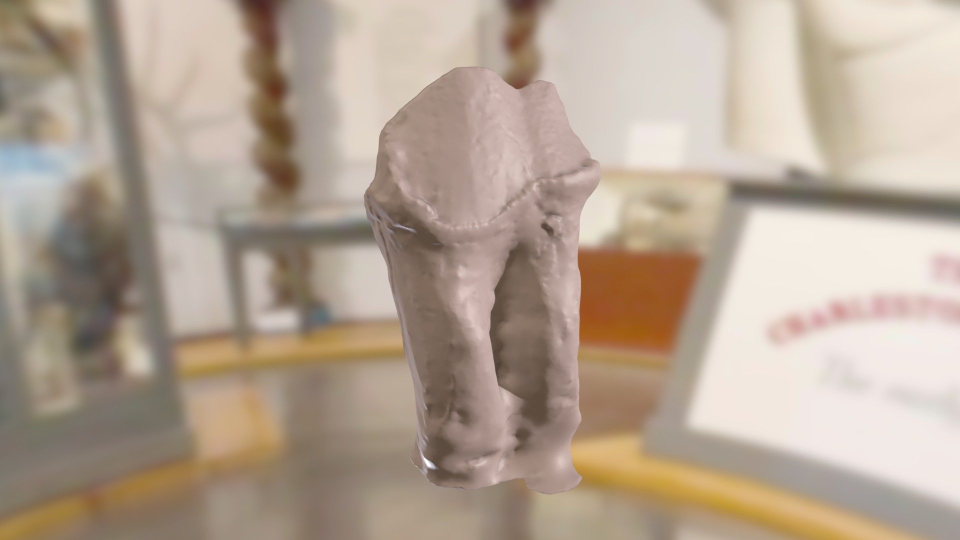 ChM PV5035 - Georgiacetus vogtlensis tooth - 3D model by The Charleston ...