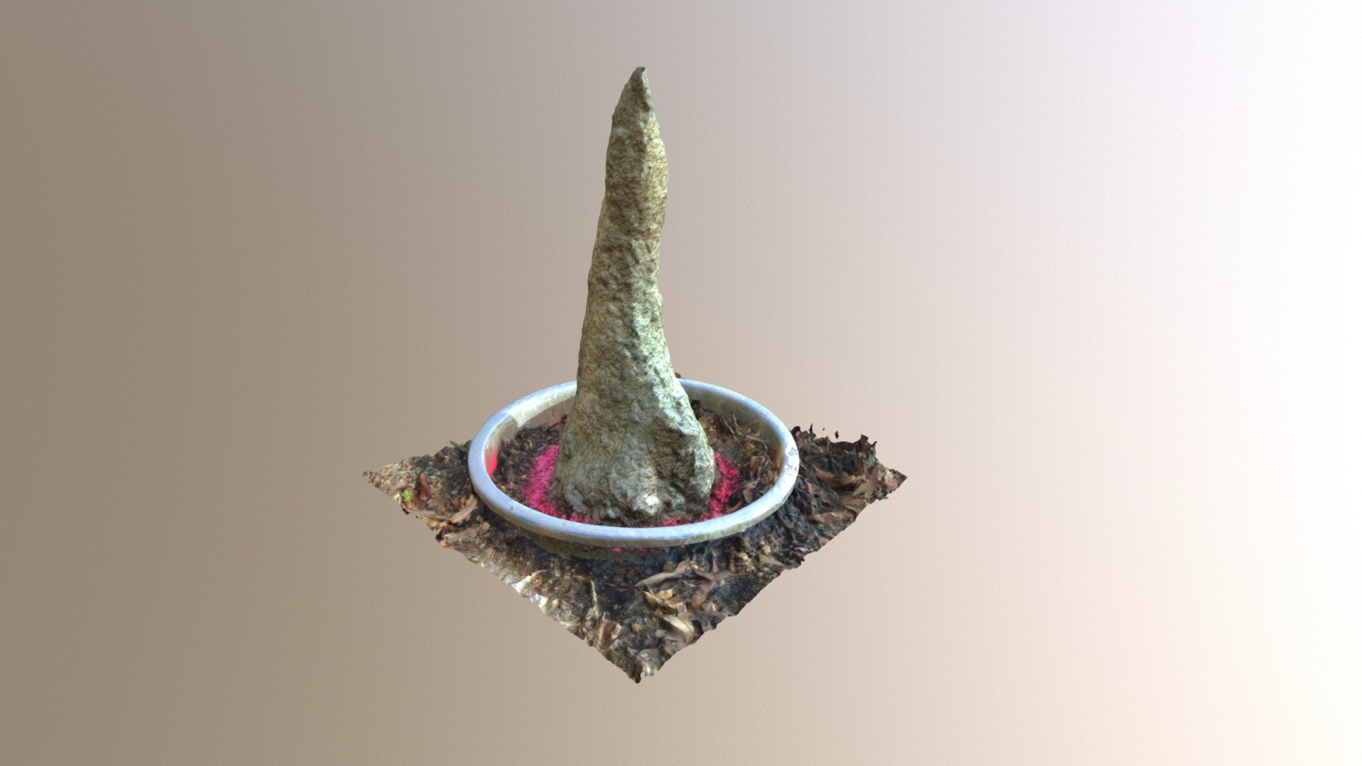 Termite mound Mn9-2016 - 3D model by pnauer [290c1de] - Sketchfab