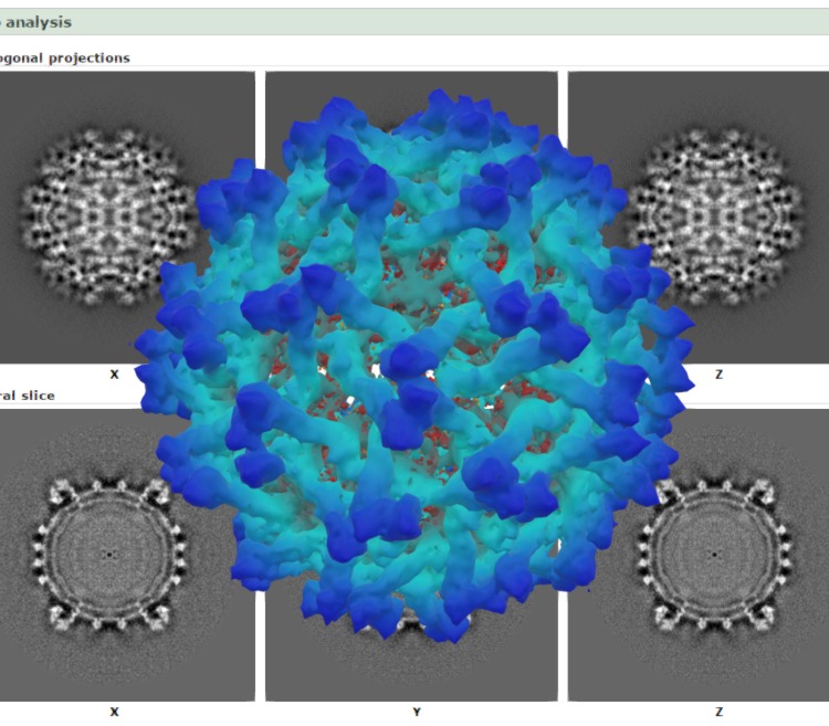 EMDB › EMD-8508 - 3D model by Interactive 3D Data (@proteinsimulation ...