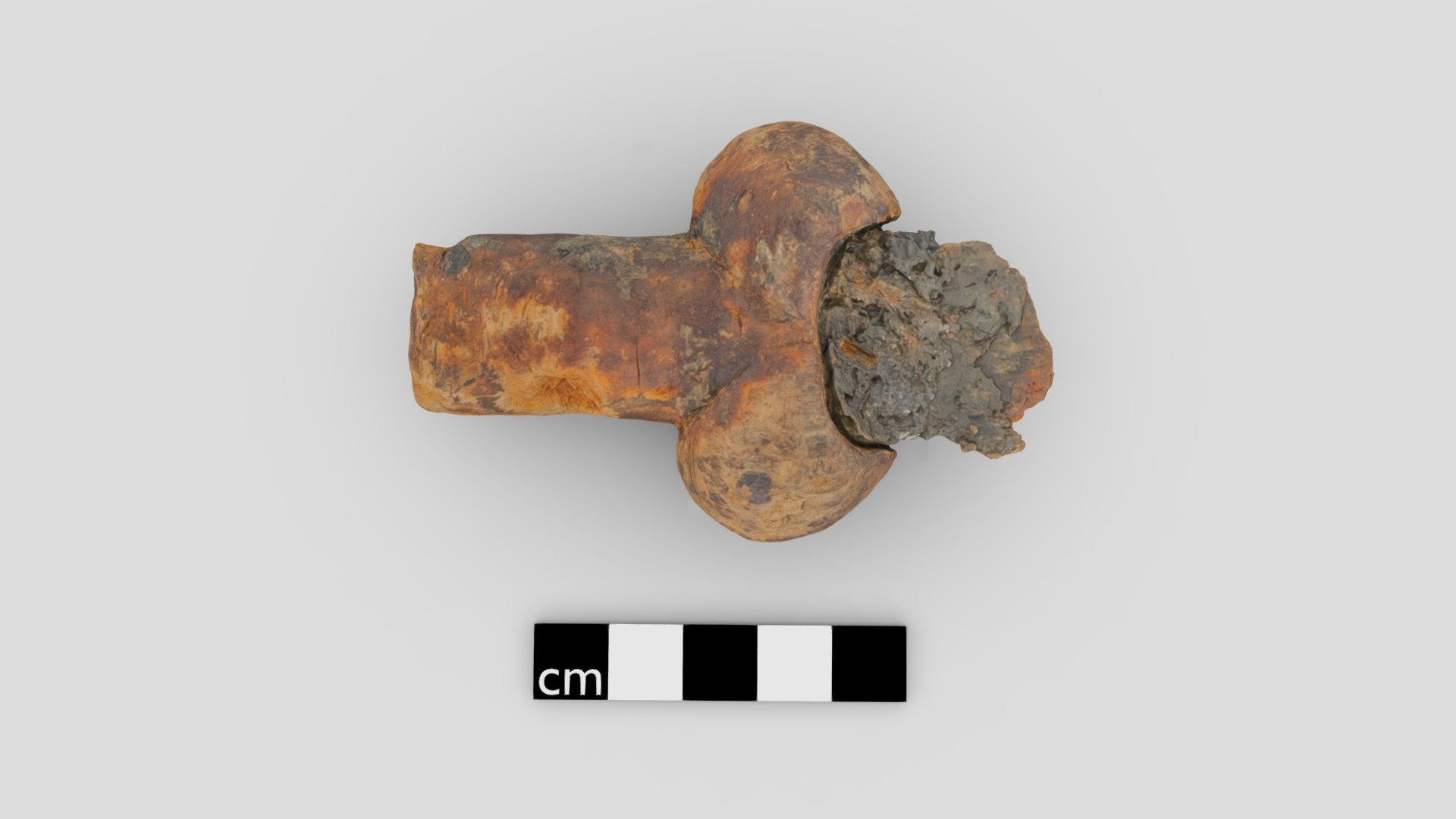 Pallitikari - A Bollock Dagger - Download Free 3D model by Turku Museum ...
