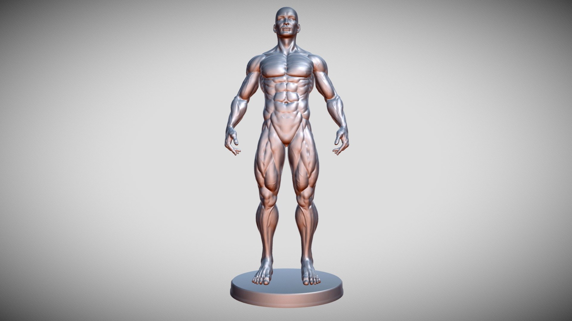 Male Game Character Basemesh- Strong Man1 - 3D model by danielmclogan ...