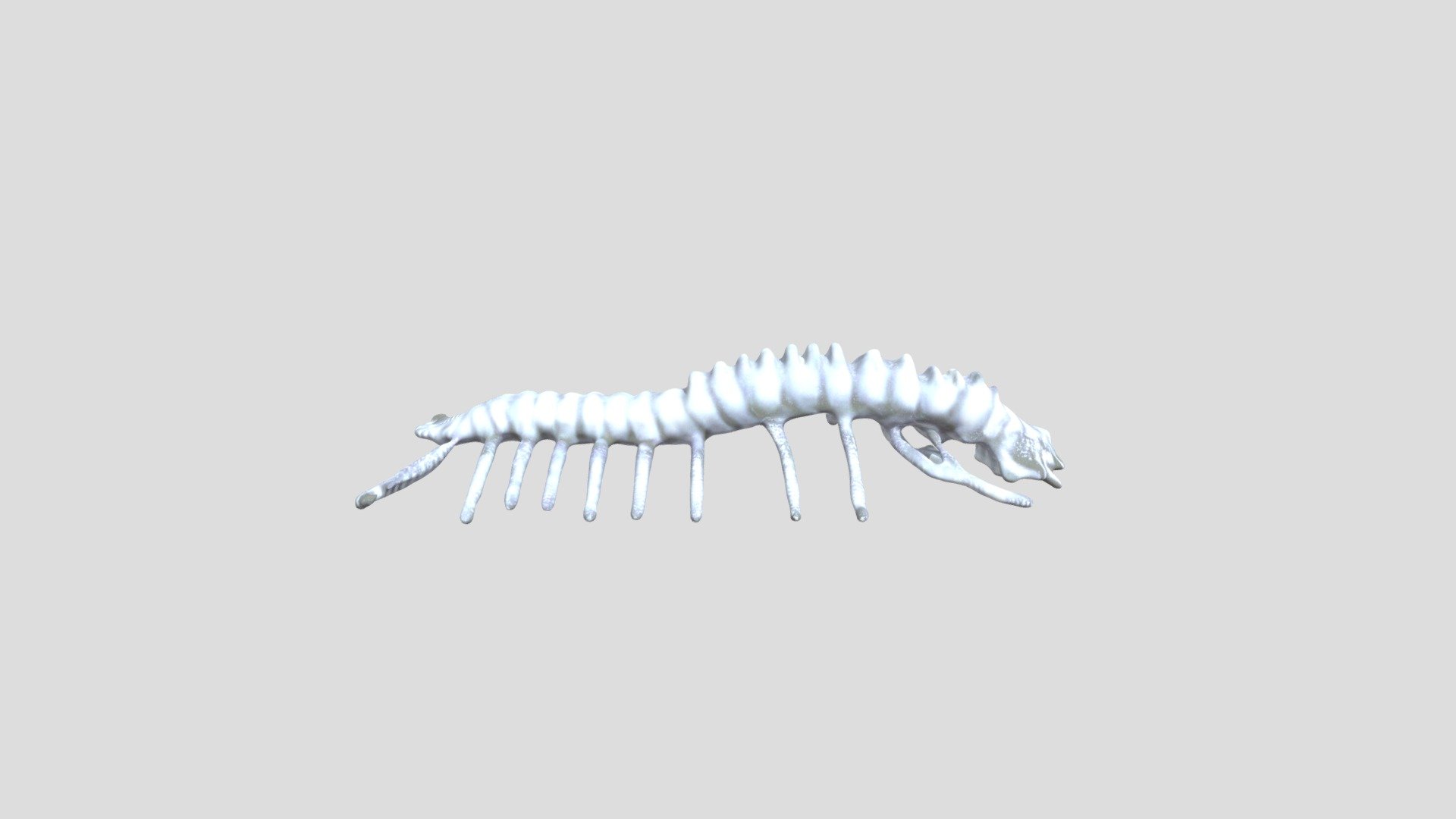 White Centipede - Download Free 3D model by CuiZi (@CuiZiheng001 ...