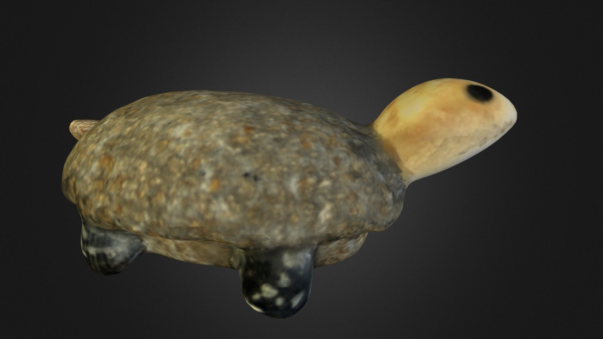 Turtle - 3D model by amazingdesign [293609f] - Sketchfab