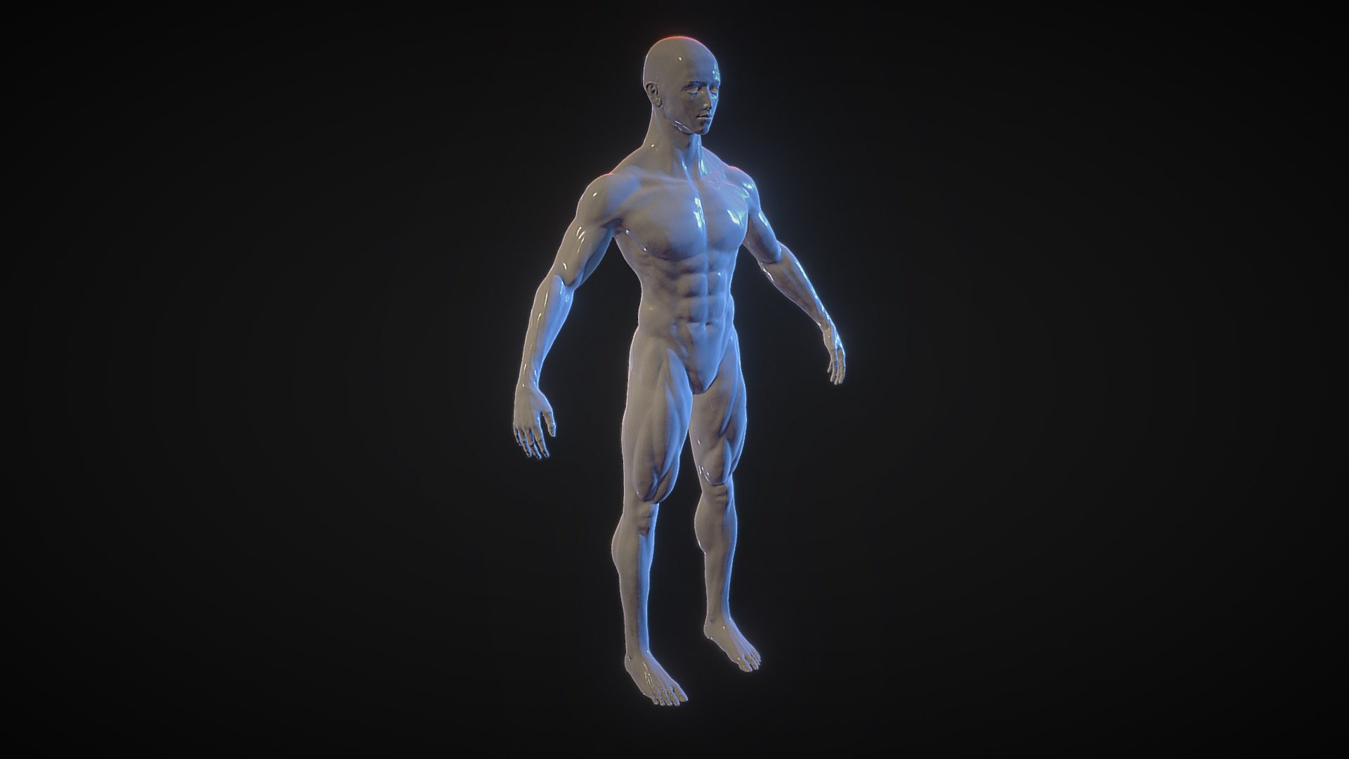 Male Character - Download Free 3D model by MaceLogice [29372cc] - Sketchfab