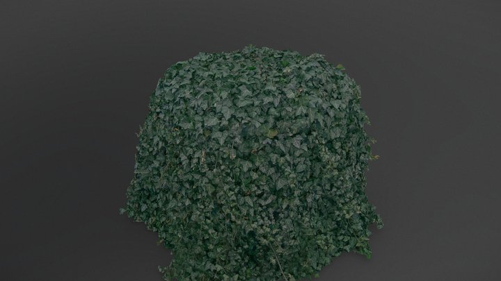 Foliage 3D models - Sketchfab