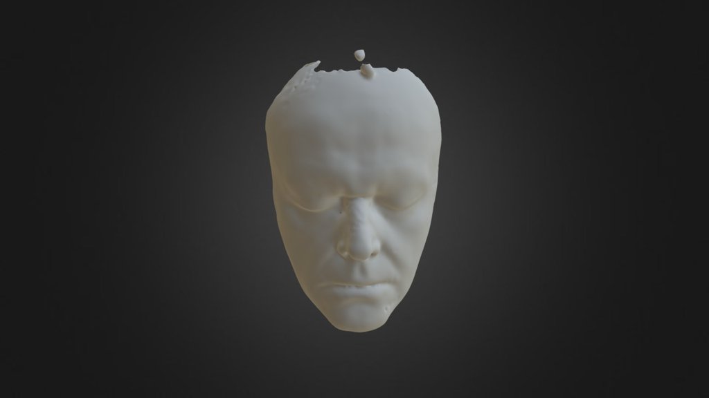 ID 051 - Download Free 3D model by 3D Face Database (@epigenomics ...