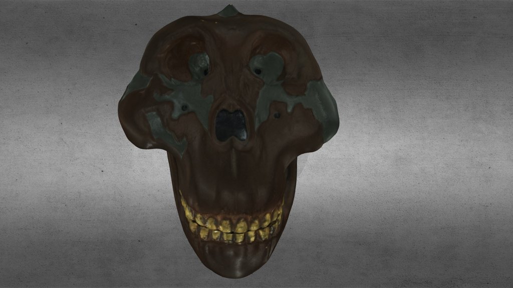 Science - A 3D model collection by 3DLyfe - Sketchfab