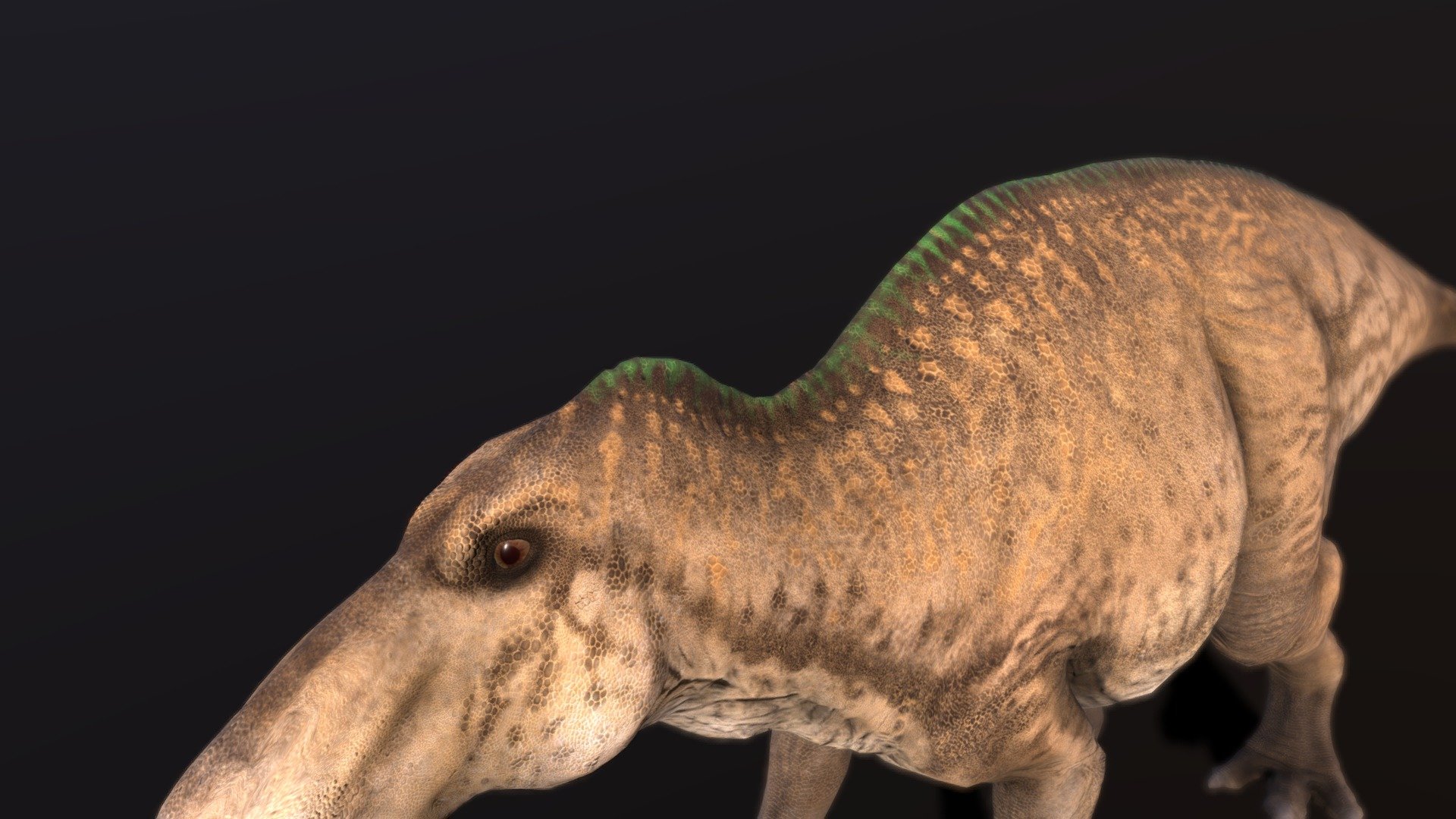 Edmontosaurus - 3D model by robertfabiani [29530f3] - Sketchfab
