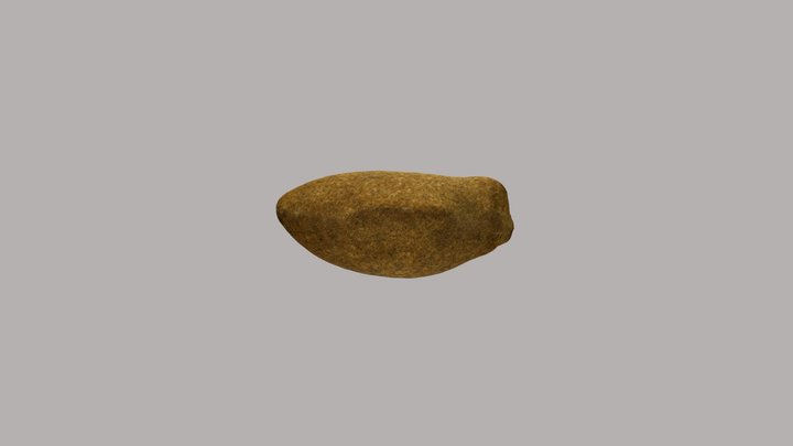 Zoolito 3D models - Sketchfab
